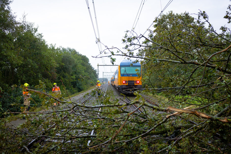 ProRail vindt bomen bij het spoor horen – jaarlijks tientallen gevallen ...